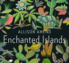 The Secret of Chabad by David Eliezrie